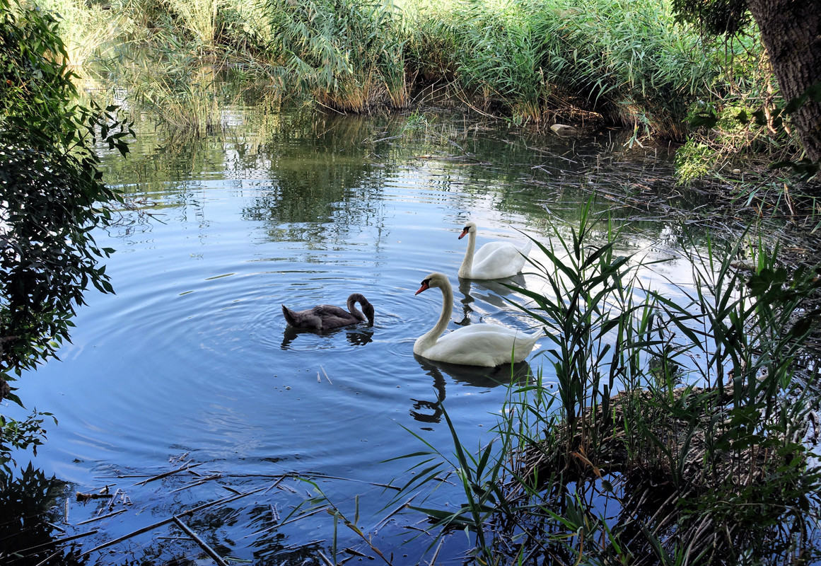 DSC07069 — Postimages