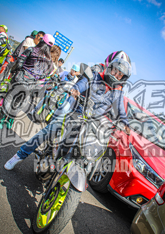 pal1 2031 — Postimages