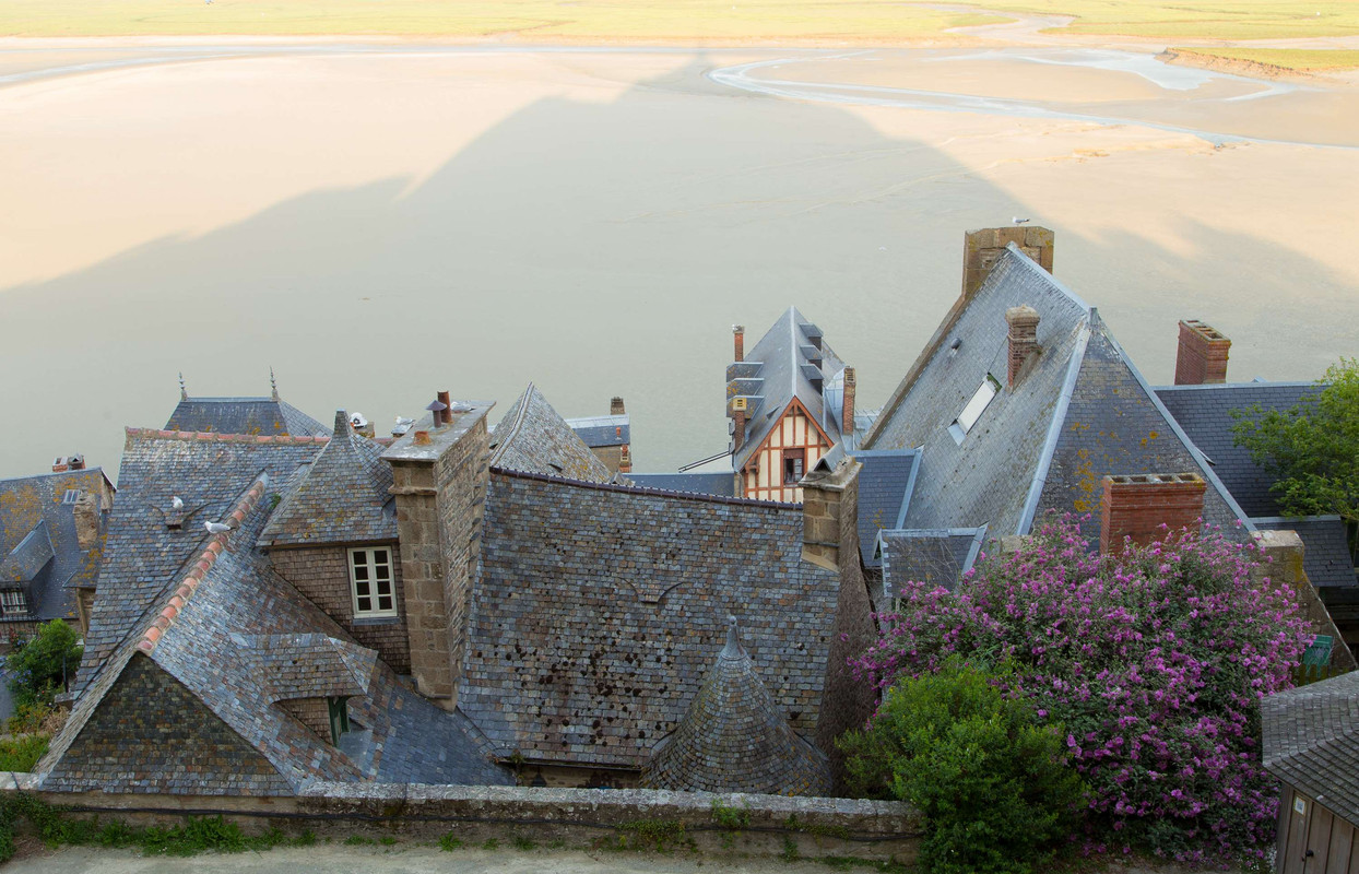 IMG 2024 — Postimages