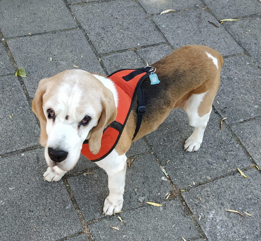 Whats App Bild 2023 06 12 um 09 21 13 — Postimages