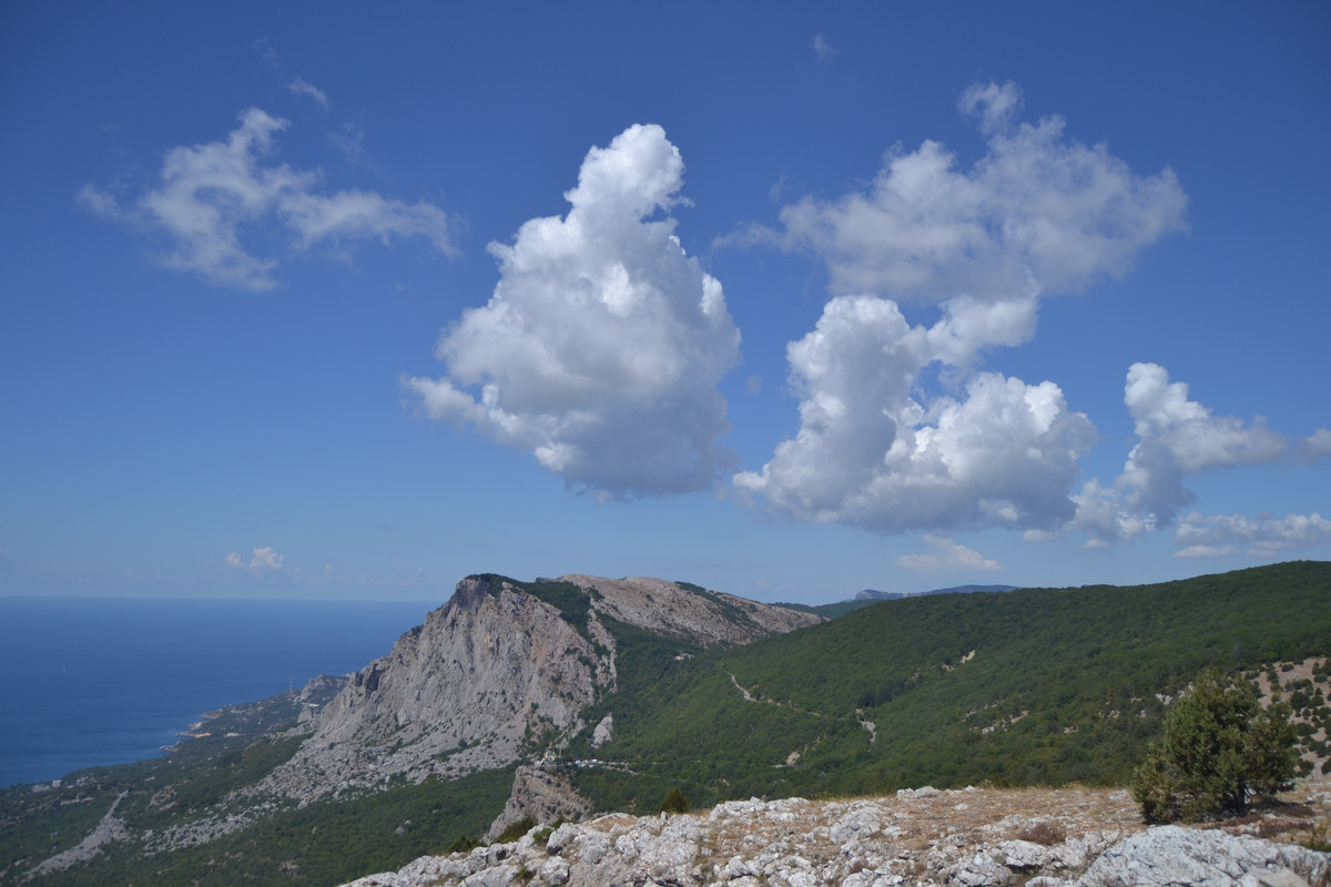 DSC 0835 — Postimages