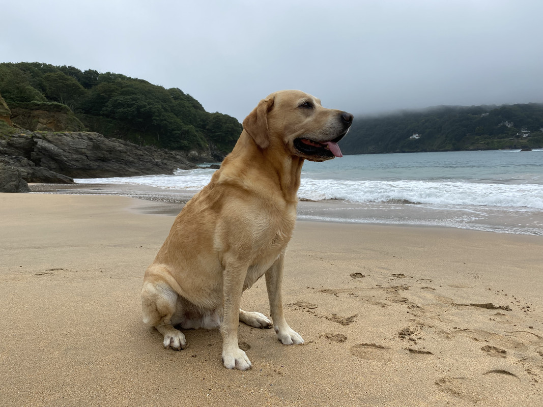 IMG 1913 — Postimages