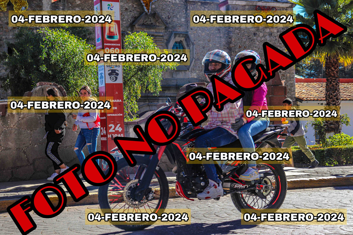 CV 113 — Postimages