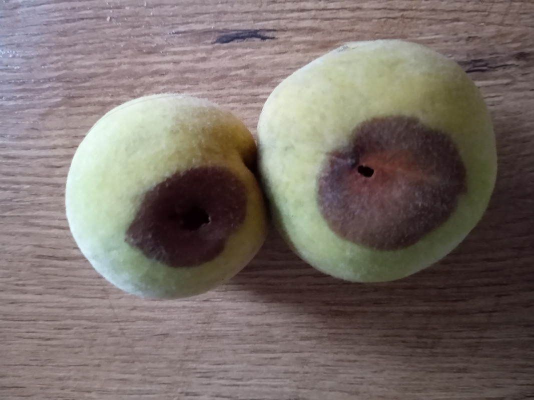 IMG 20230913 182511 638 — Postimages