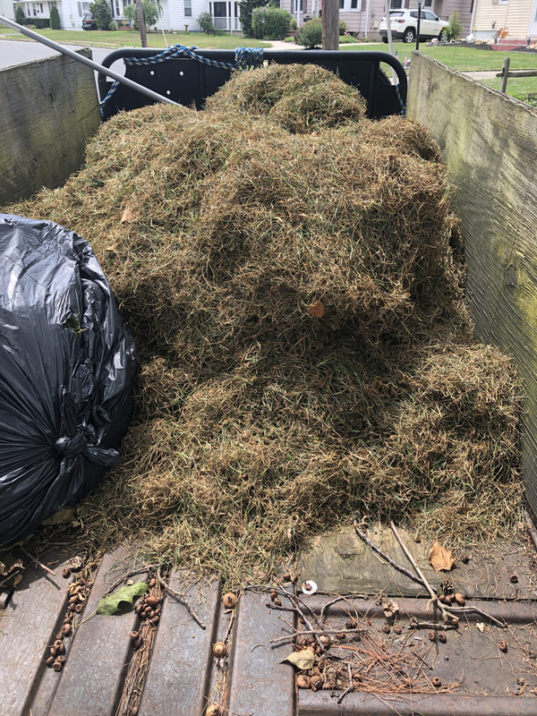 Lawn litter / debris removal | Lawn Care Forum