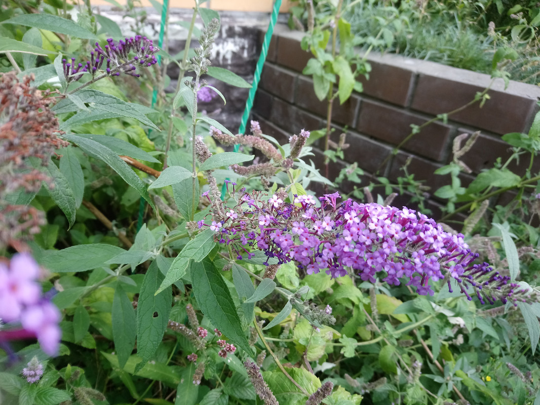 DSC 0318 — Postimages