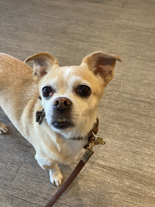 FRANK! 💕 : r/chugs