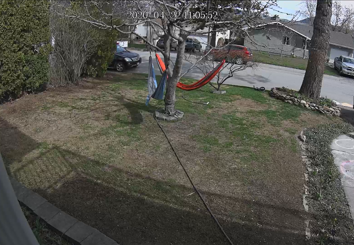 grass — Postimages