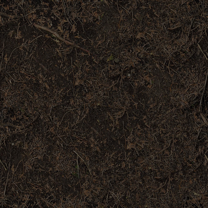 Forrest Ground Dark — Postimages