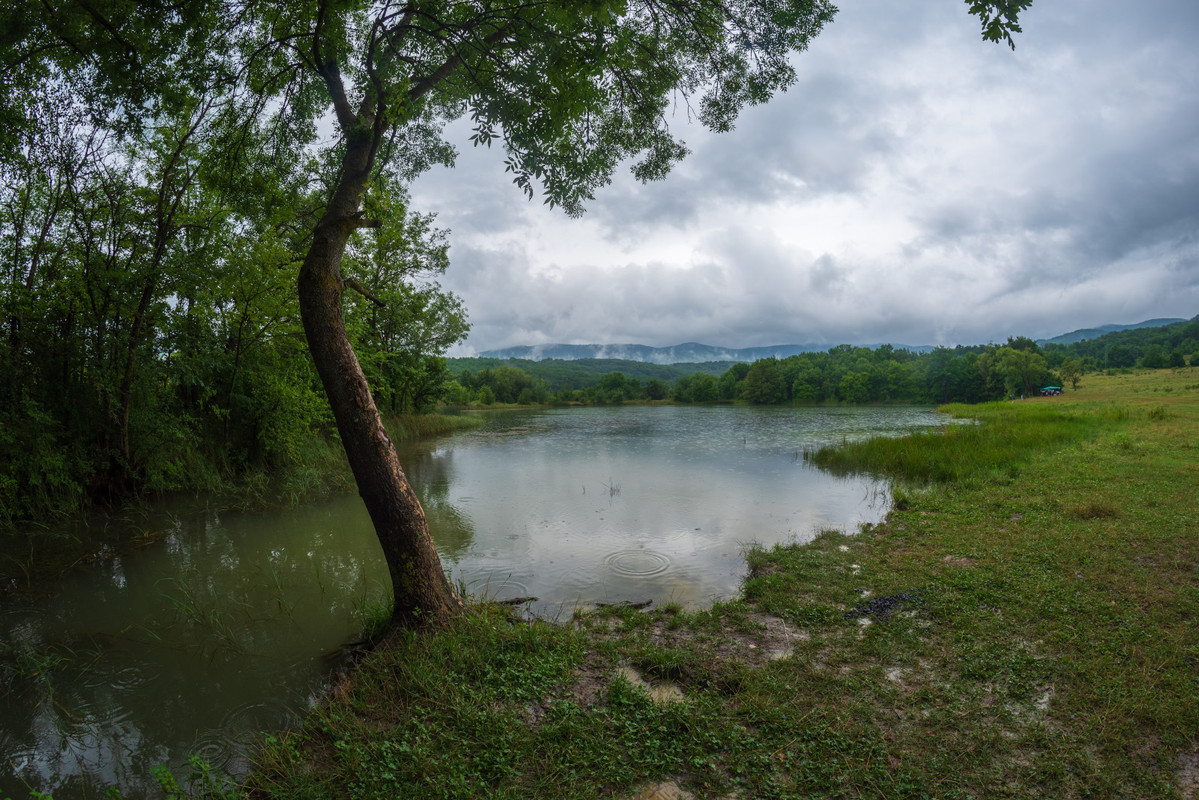 V0001570 1600 — Postimages