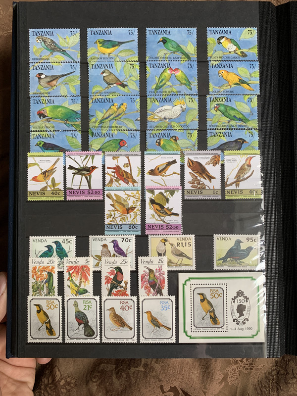 IMG 1037 — Postimages