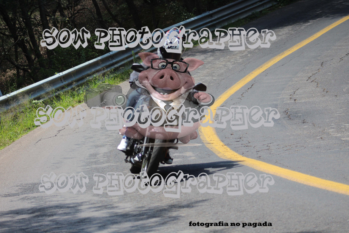 IMG 8732 — Postimages