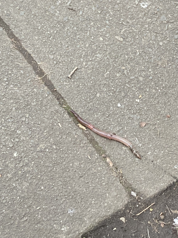 IMG 1972 — Postimages