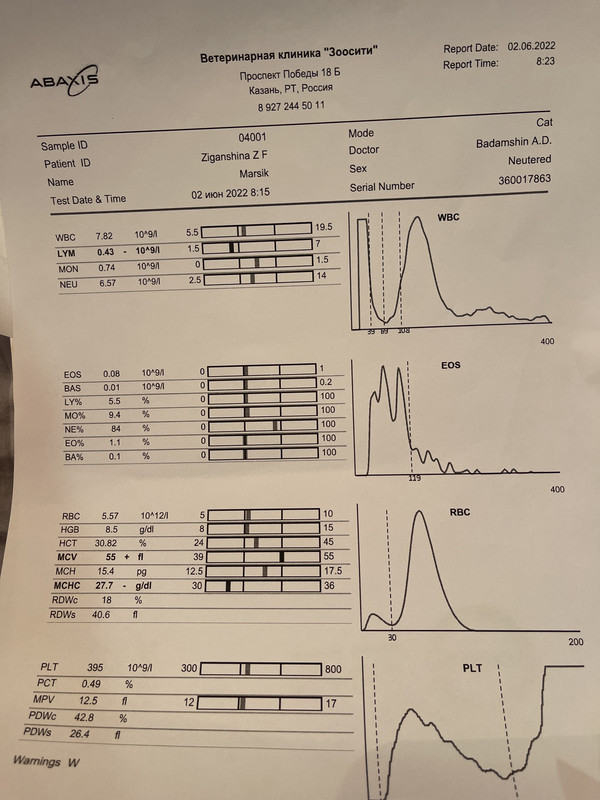 37 D3 B188 824 B 4 AF2 B466 0 B9 AD89 DD2 DA — Postimages