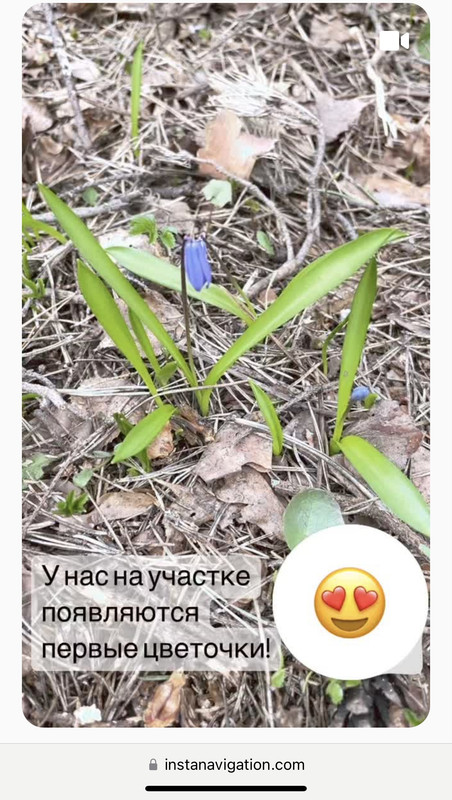 IMG 5467 — Postimages