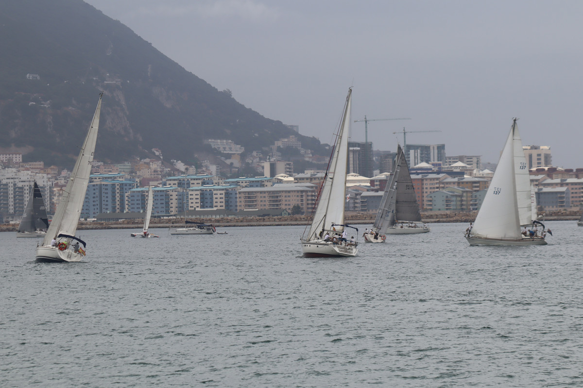 IMG 4613 — Postimages