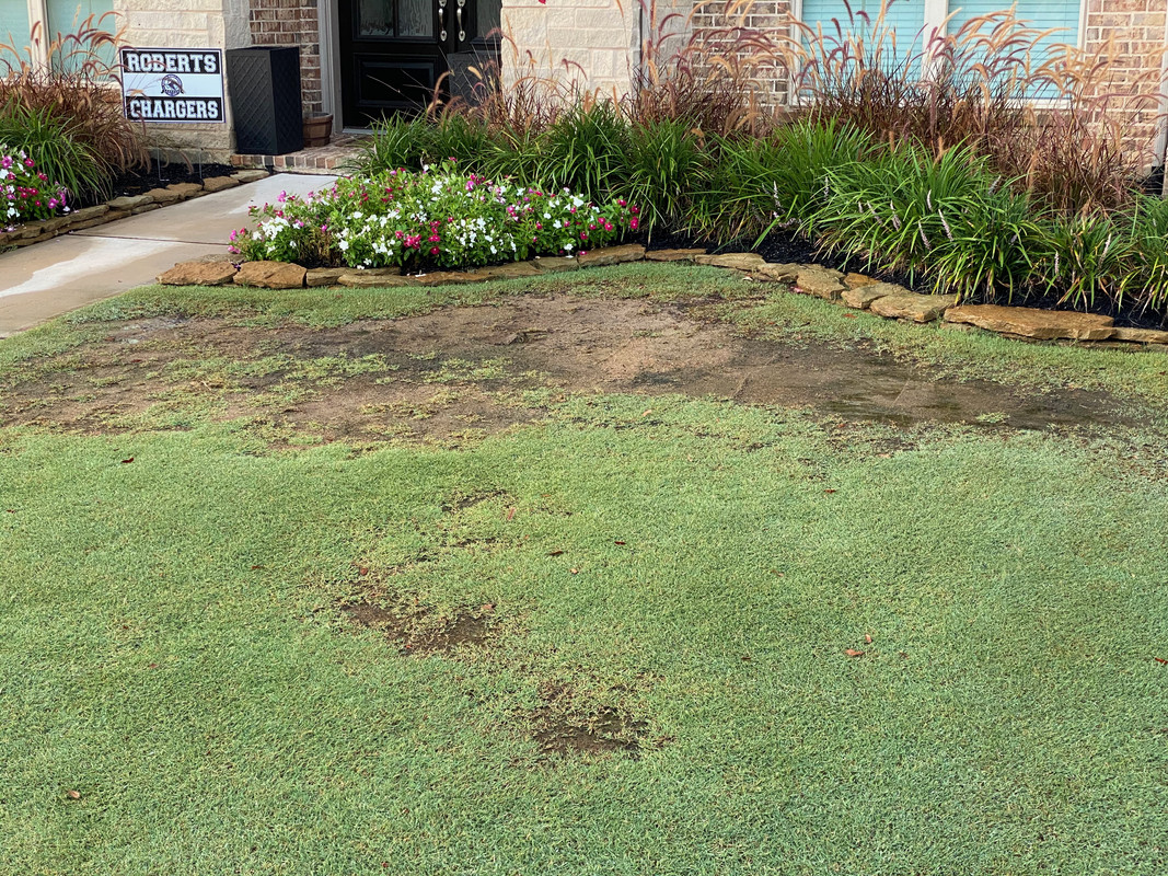 IMG 0699 — Postimages