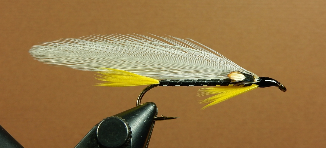 Black Ghost Hackle Wing 1080 — Postimages