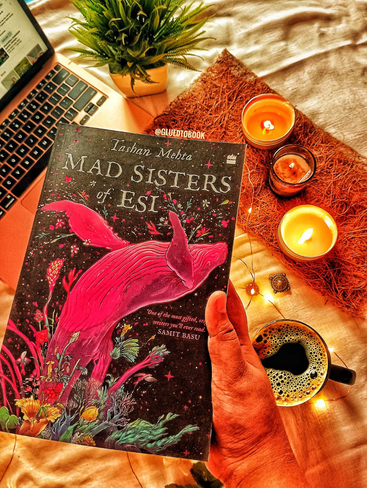 temp Imagedjpi8 W — Postimages