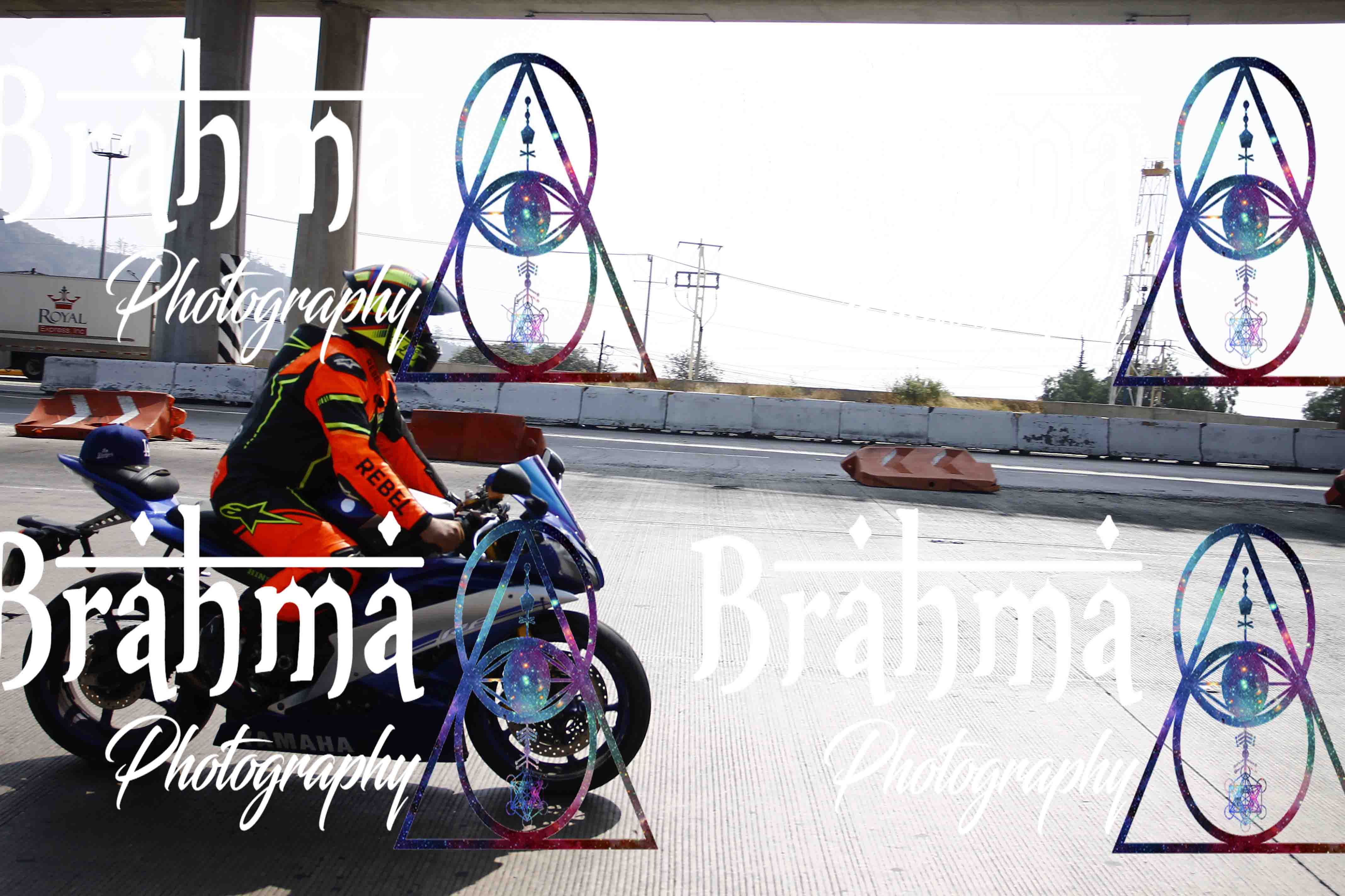 MG 0316 — Postimages