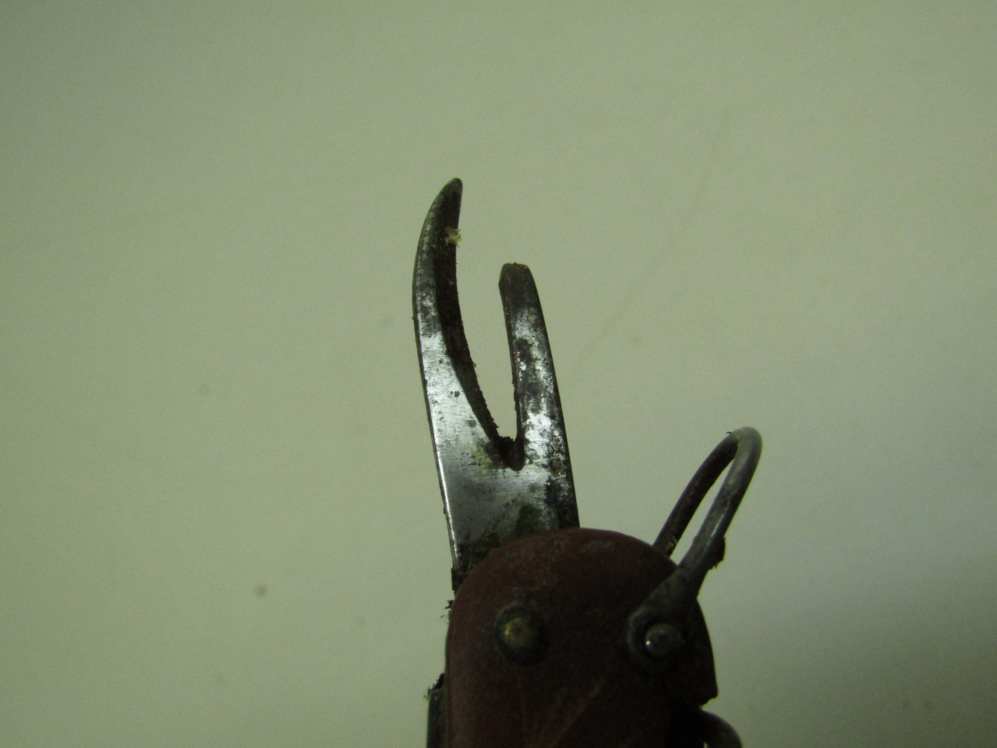 IMG 4548 — Postimages