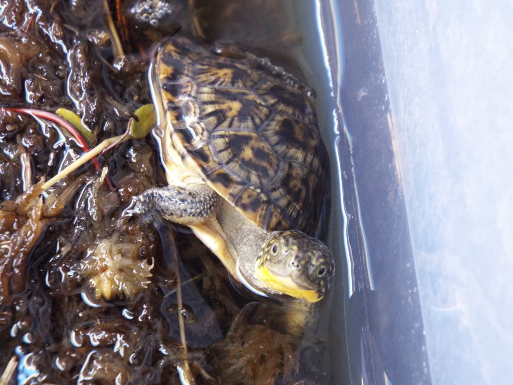 DSCF1550 — Postimages