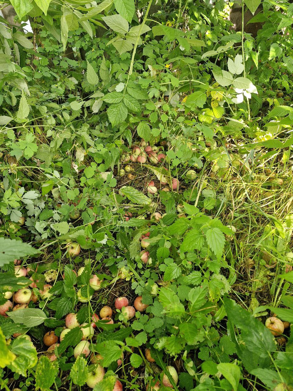 IMG 20240817 184925 372 — Postimages