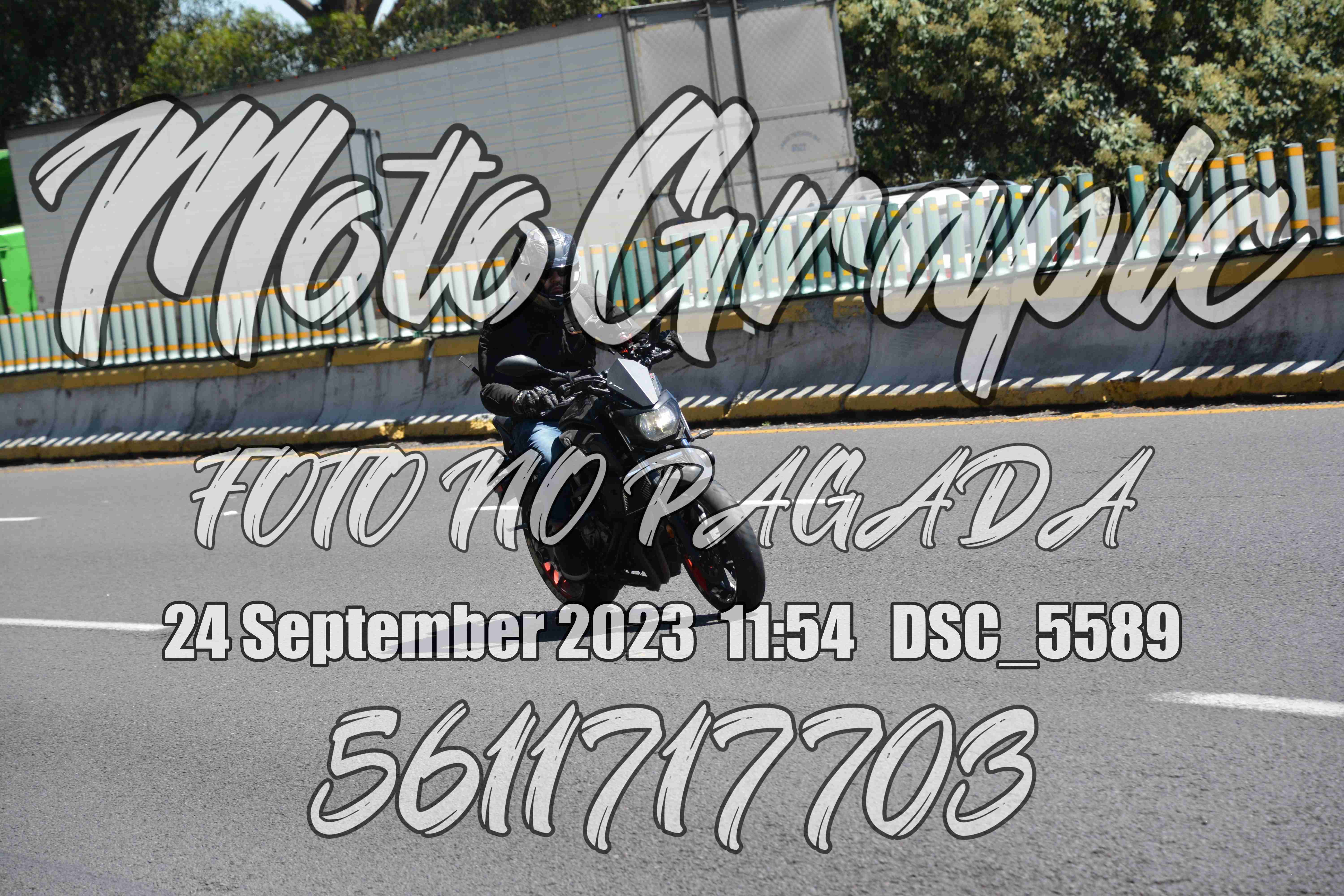 motgr DSC 5589 — Postimages