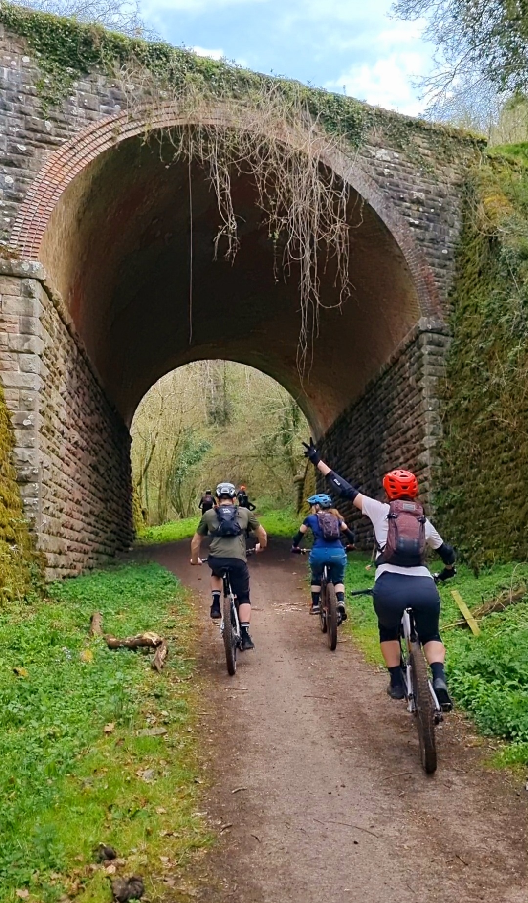 Bridge — Postimages