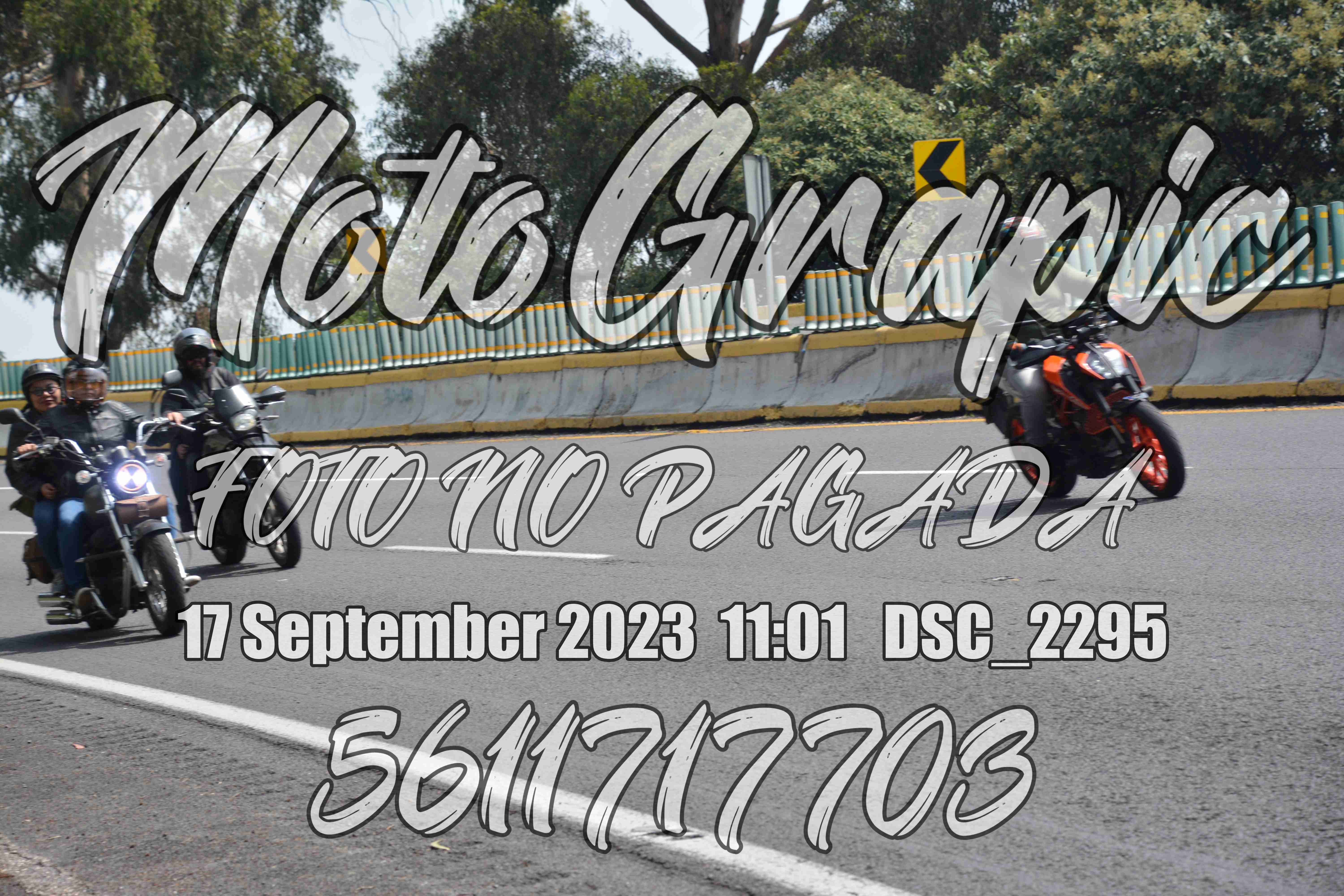 motgr DSC 2295 — Postimages