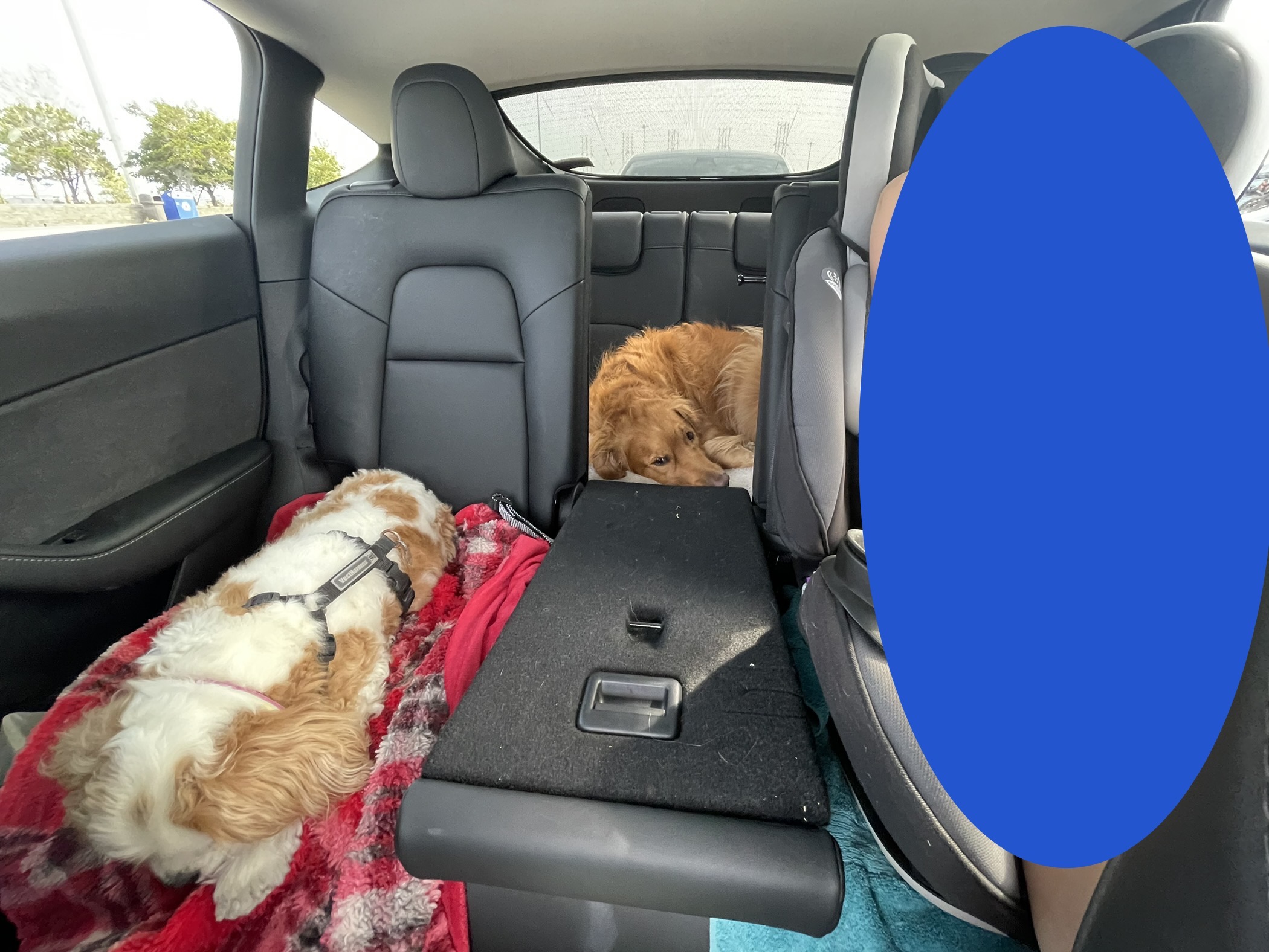 IMG 3448 — Postimages