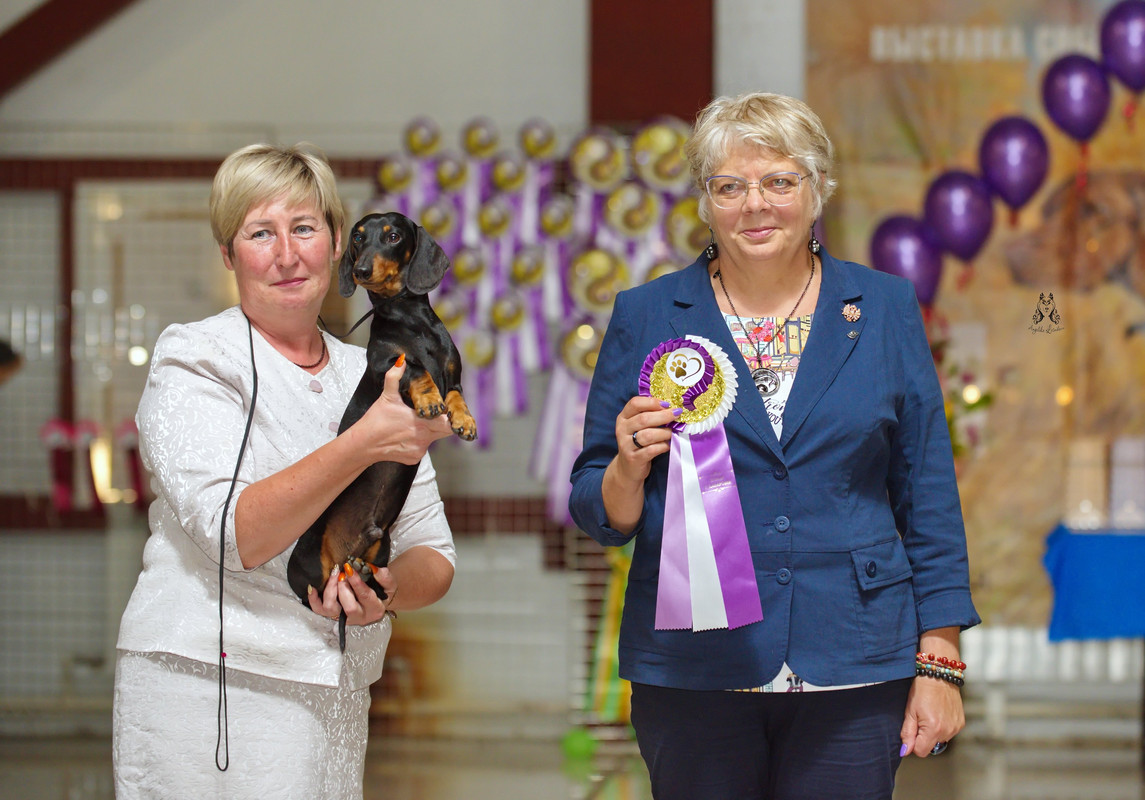 DSC 8836 — Postimages