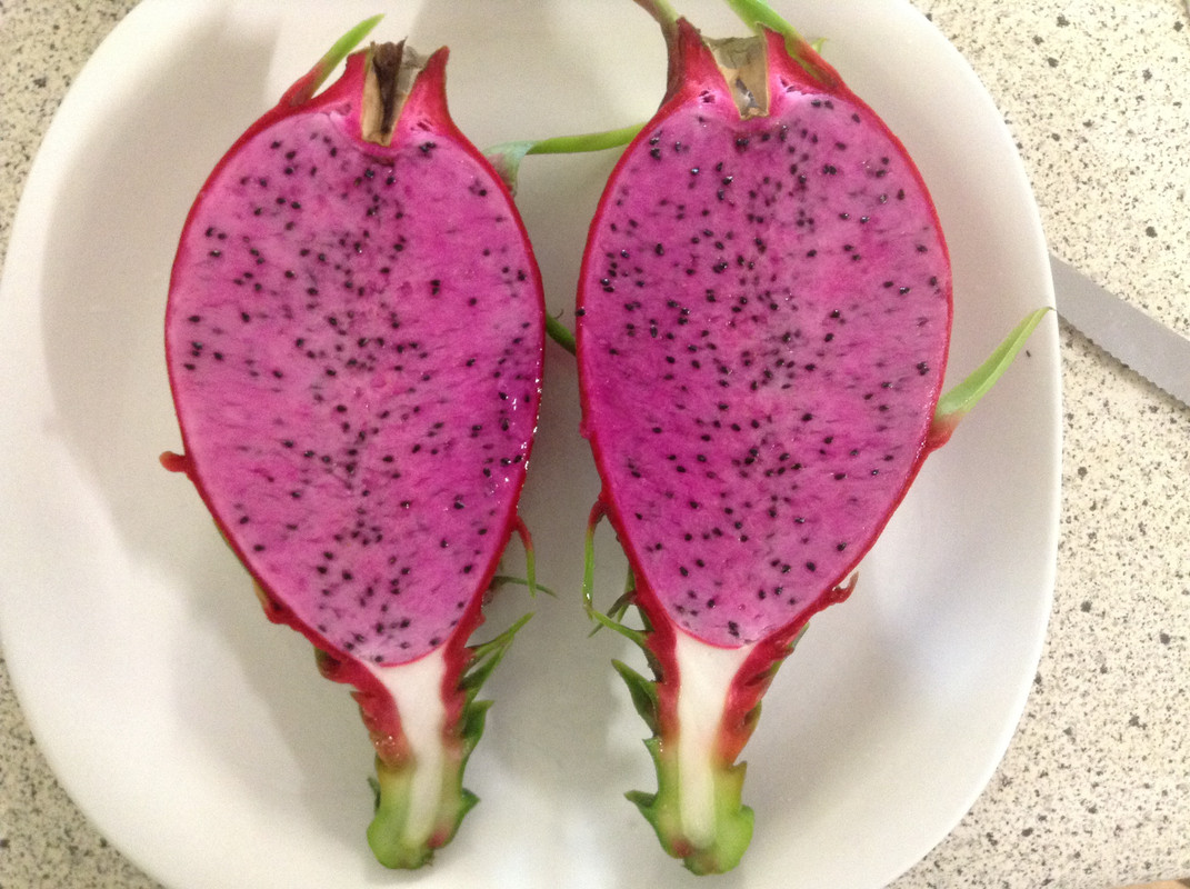 IMG 0488 — Postimages