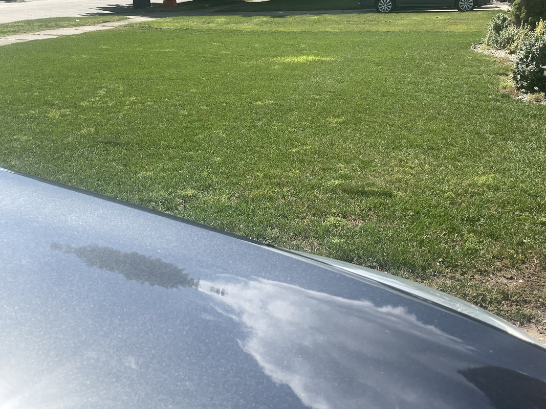 6 DA19 CC0 33 CB 4880 936 E 60 B67 D561 E07 — Postimages