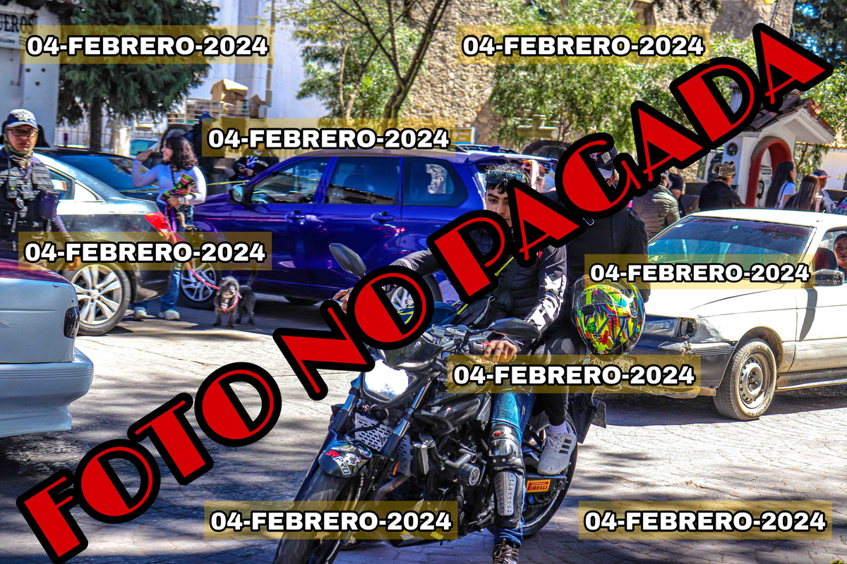 CV 1014 — Postimages