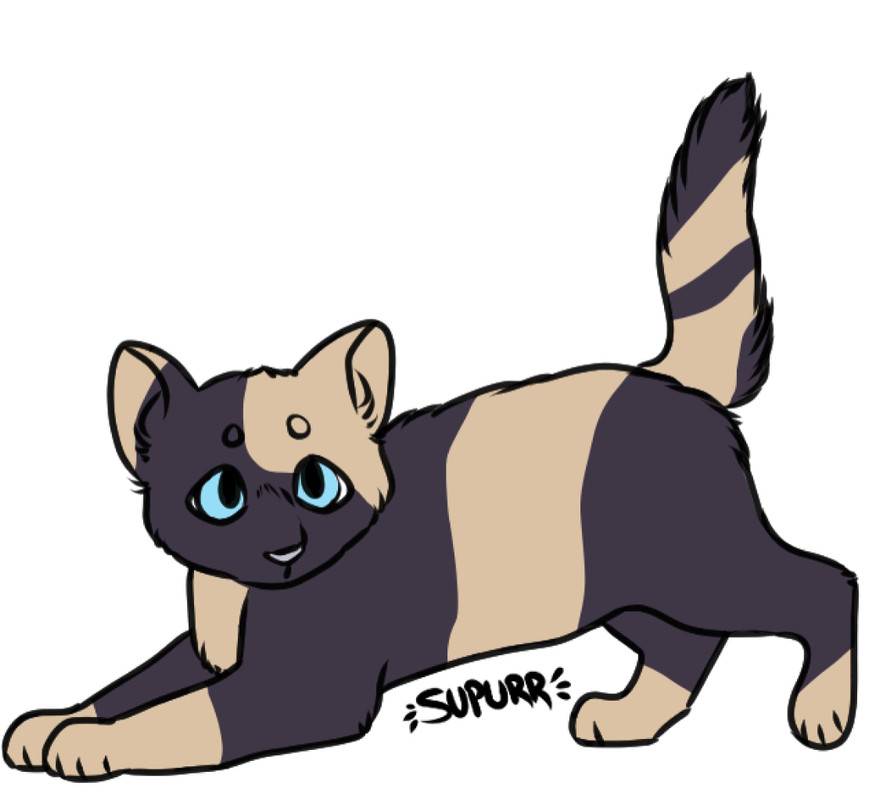 IMG 2902 — Postimages