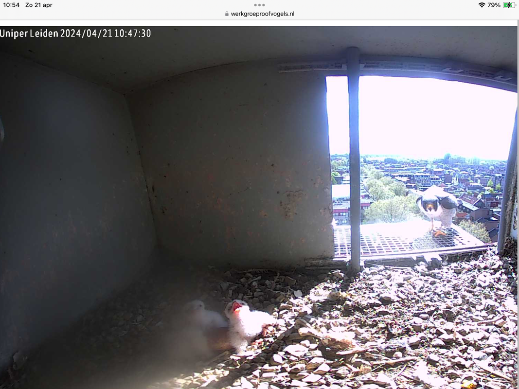 IMG 0255 — Postimages