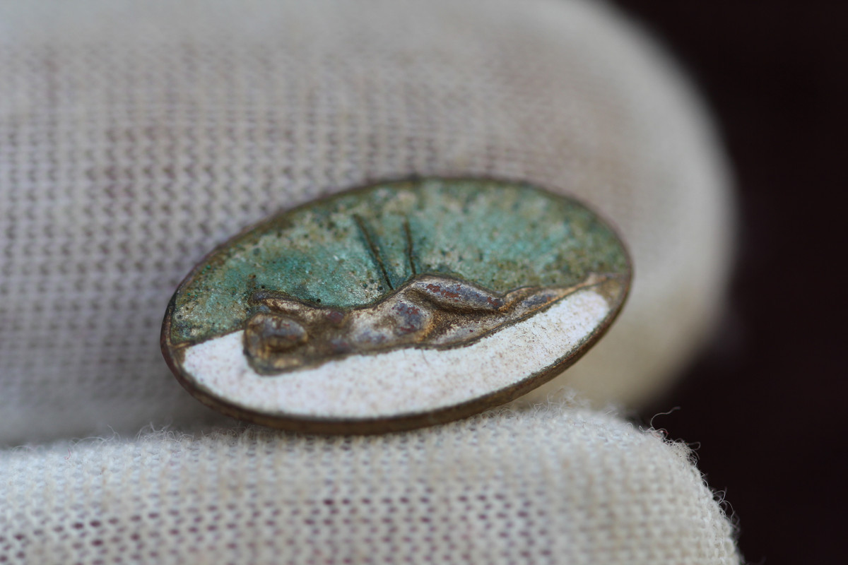 IMG 3398 — Postimages