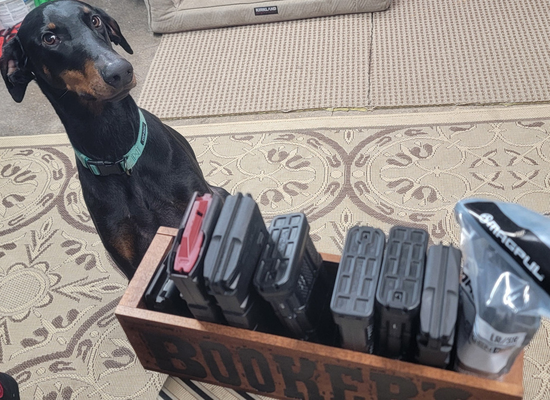 Magazine storage trays - whiskey > Magazines > AR15.COM