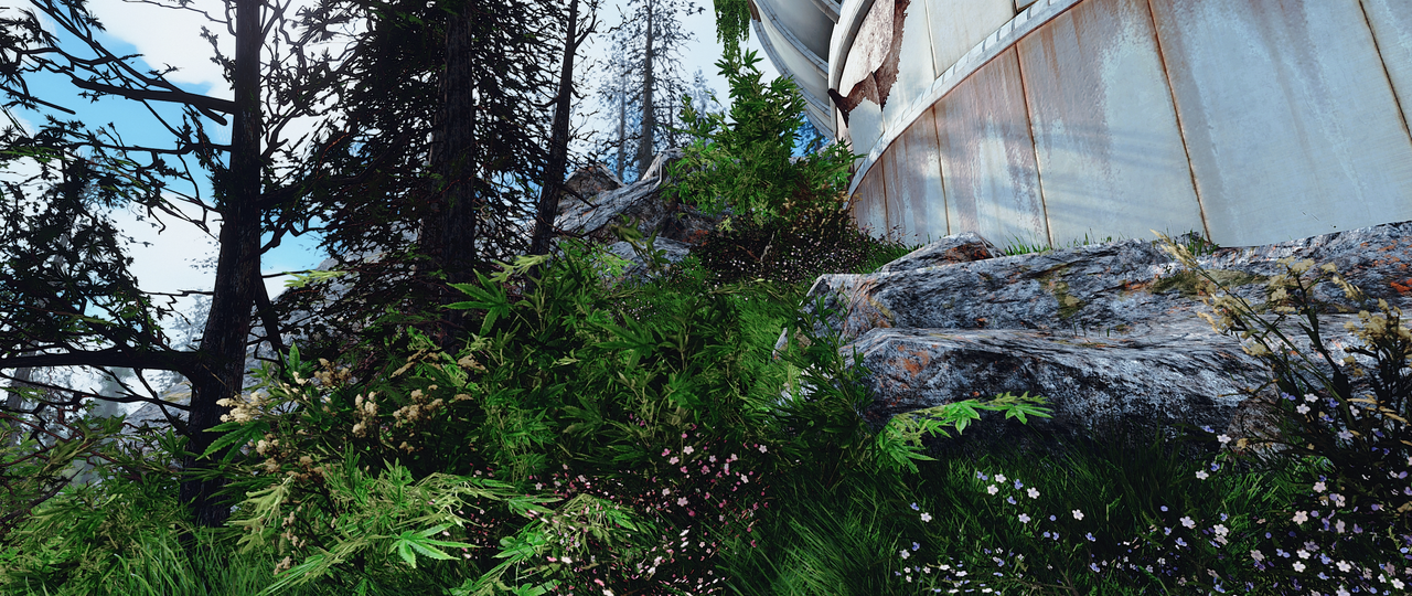 Weed of the Commonwealth at Fallout 4 Nexus - Mods and community