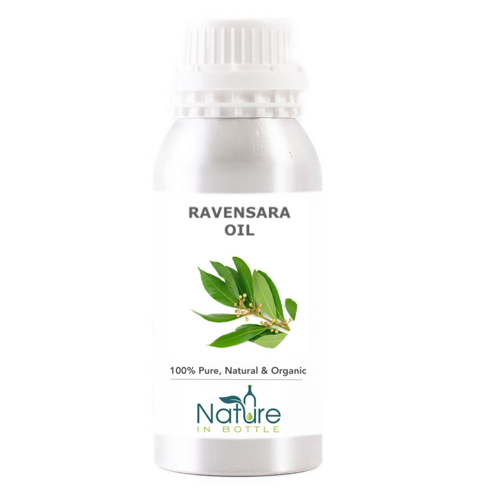 Ravensara Aromatica Essential Oil Organic - Madagascar