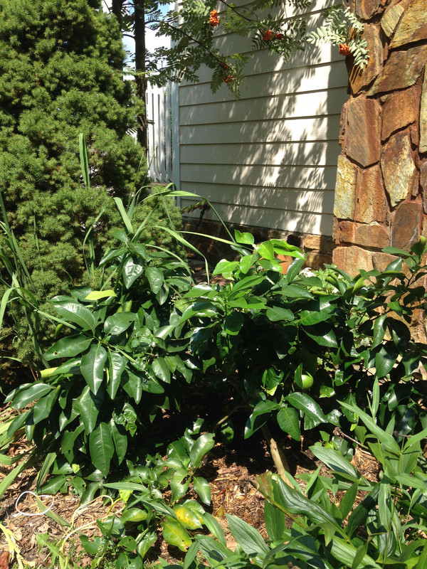 IMG 5153 — Postimages