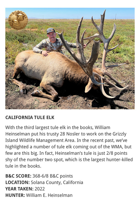 World Record Archery Tule Elk 🔥 - 24hourcampfire