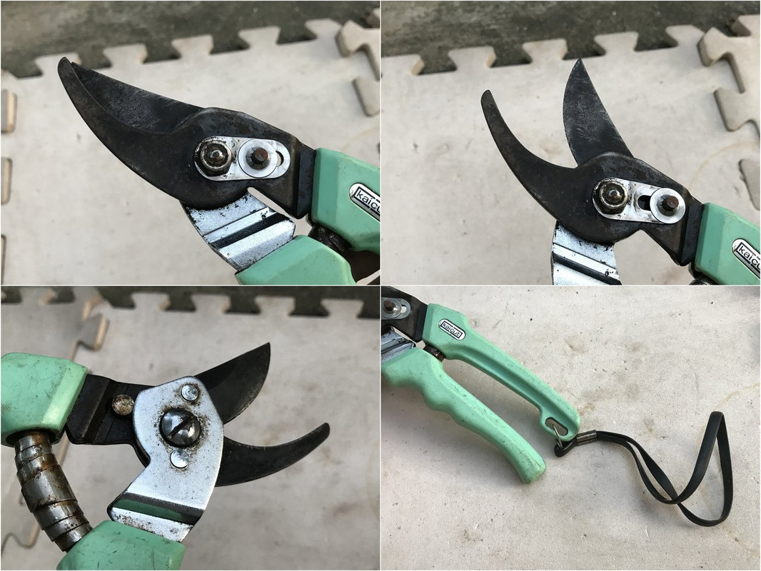 430 1 — Postimages