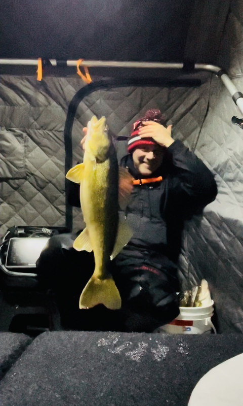 49841 E3 A D784 44 EE 91 F1 8951 ABDC96 FC — Postimages