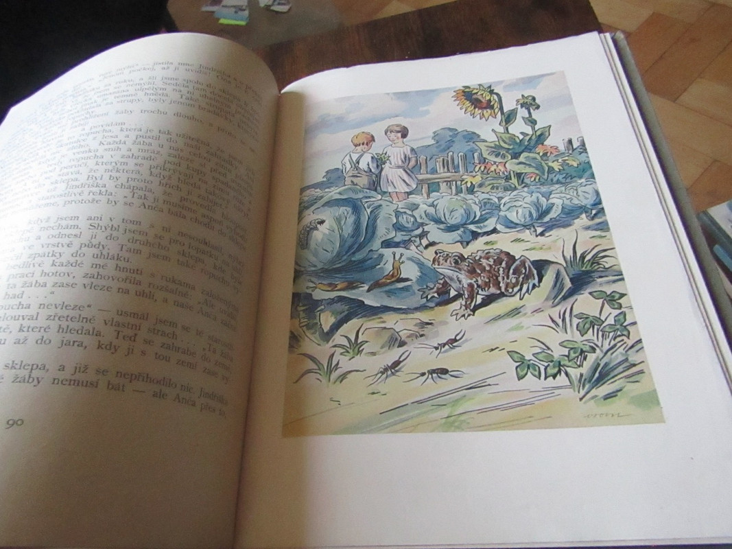 IMG 6491 — Postimages