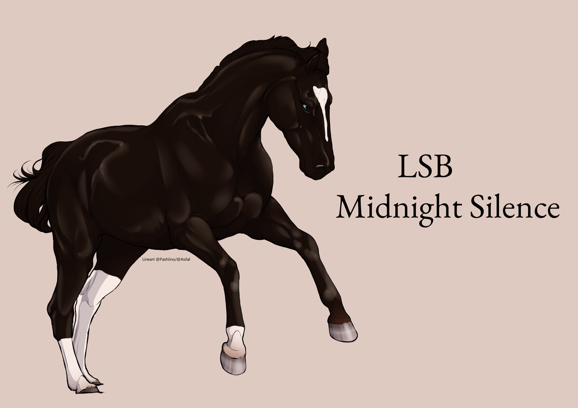 LSB Midnight Silence — Postimages