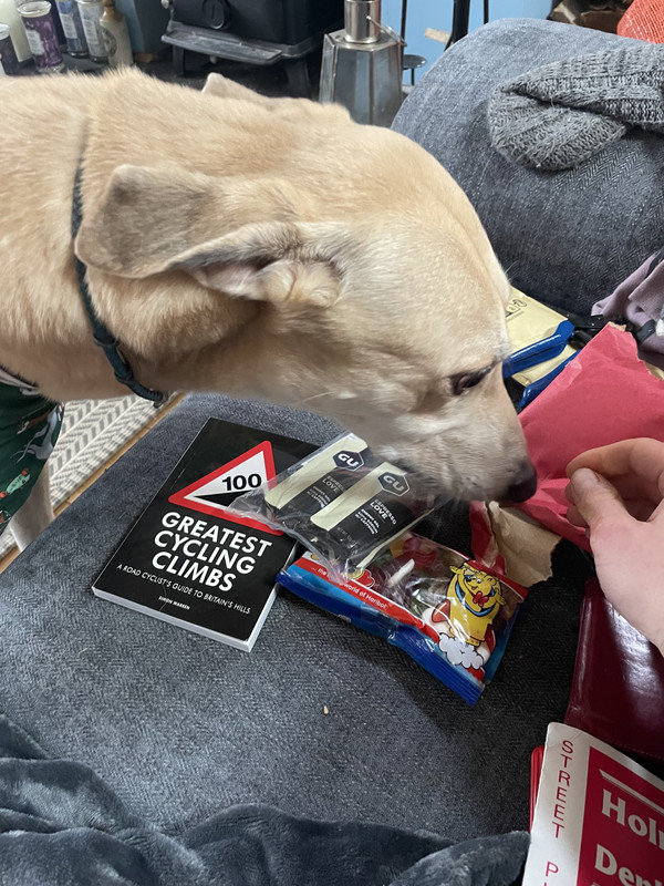 IMG 1826 — Postimages