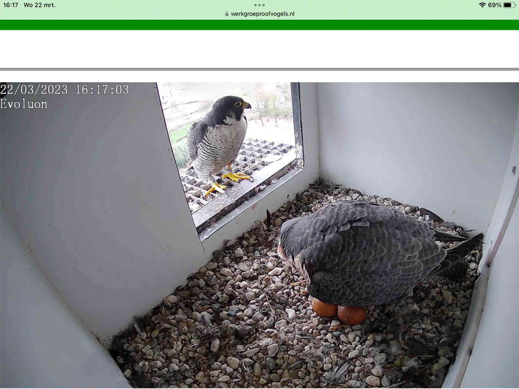 D2 F2 D120 7186 473 A B181 D09 CD501 AB70 — Postimages