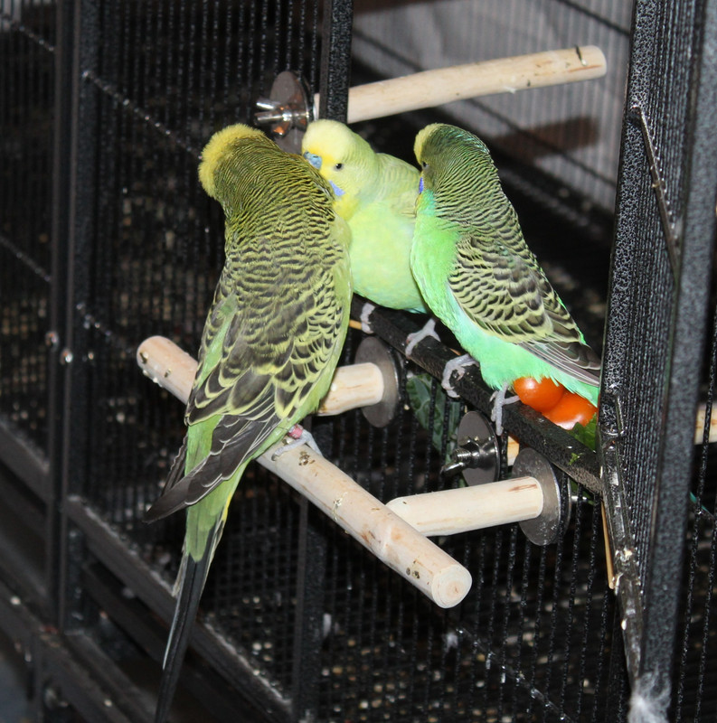 20231216170950 IMG 2174 — Postimages